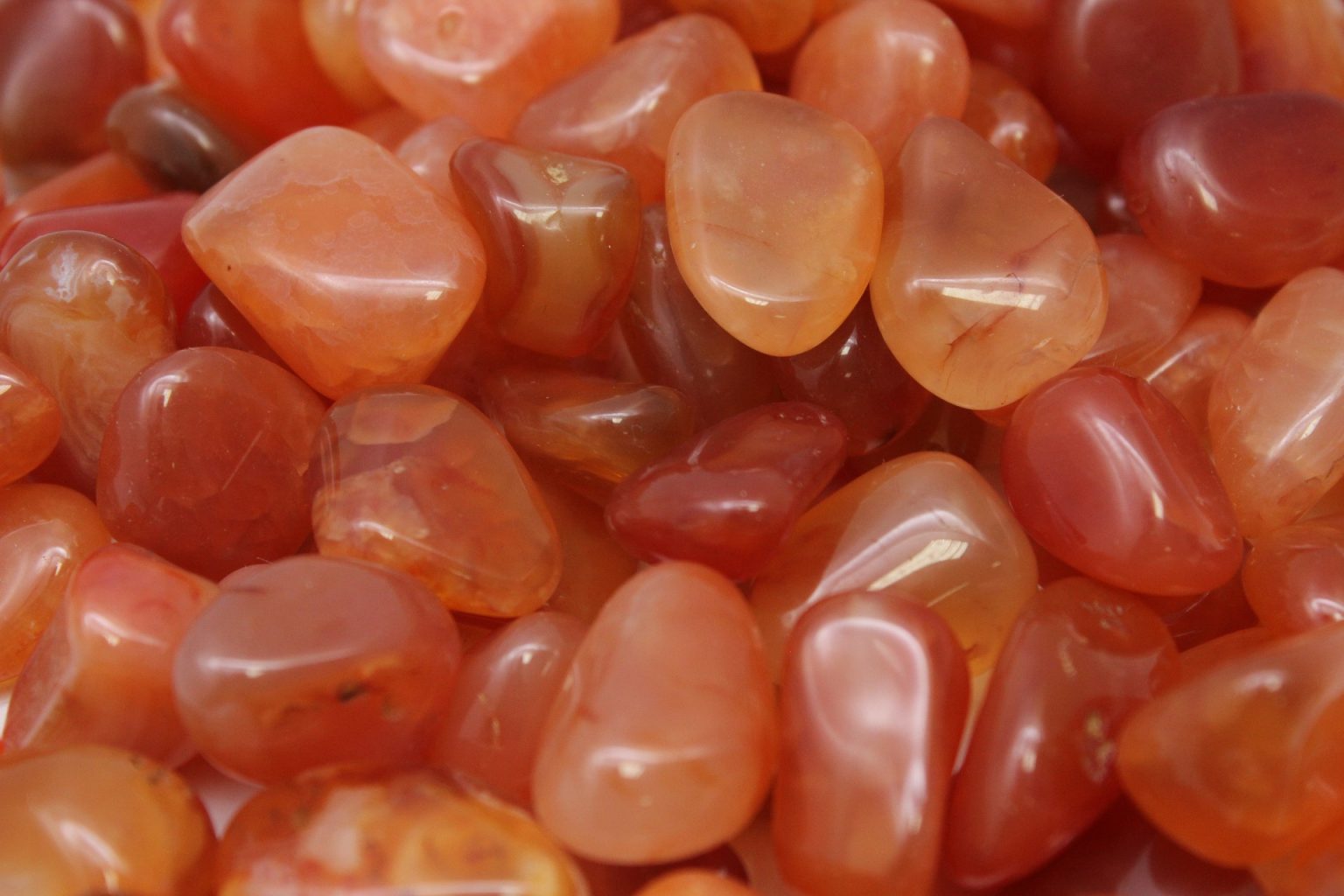 Agata "La alegría" - Erdea-Formación